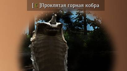 Проклятая горная кобра Black Desert (редкие монстры для охоты). Ночью!  Горы Гервиш