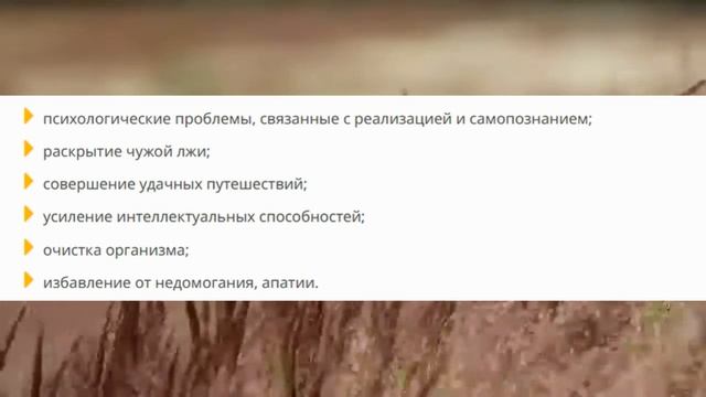 МАГИЯ СТИХИЙ. КАК ОБУЧИТЬСЯ МАГИИ ВОЗДУХА.