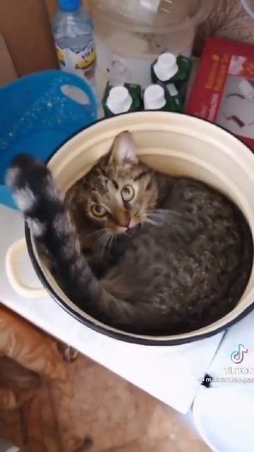 Гости