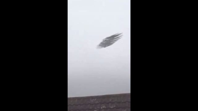 НЛО в хорошем качестве