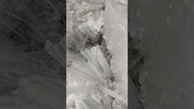 Лягушка путешественница часть 3