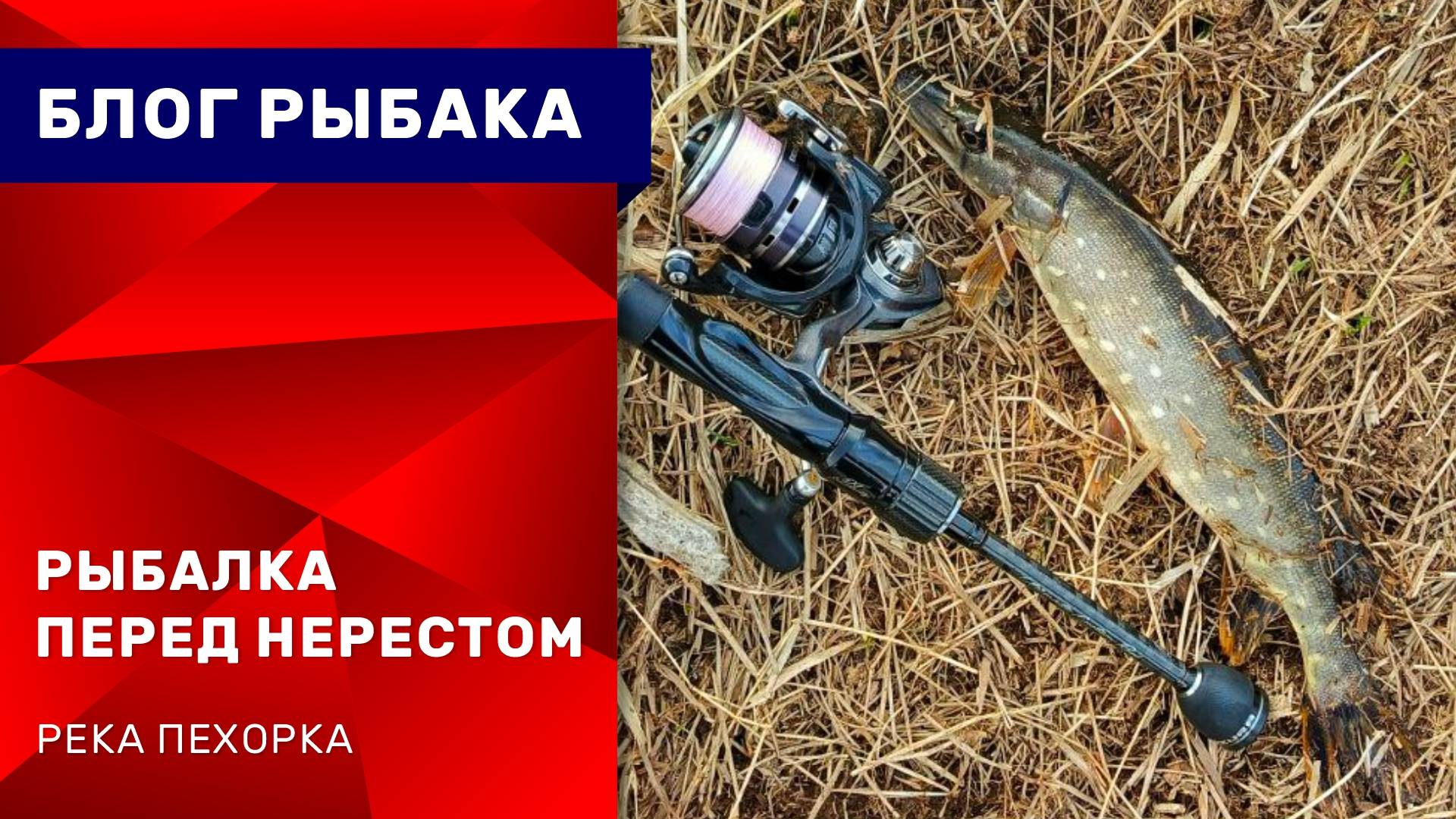 Рыбалка перед нерестом. Спиннинг в конце марта на Пехорке. Рыбалка в подмосковье.