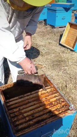 работа началась 🐝🐝🐝