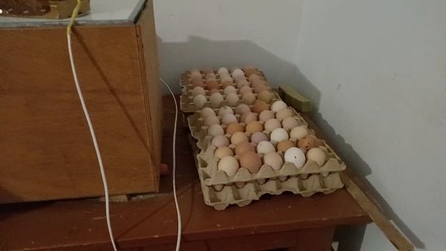 КВАРЦЕВАНИЕ самый лучший спасоб дезинфекции инкубационного яйца