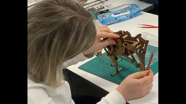 Робот -ходилка