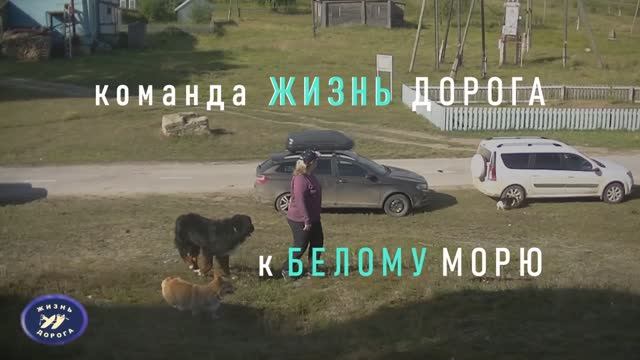 Белое море 2021