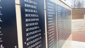 Видео от Андрея Гузя. Стихотворение "Лейкоциты"