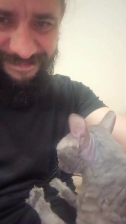 Любящая кошка