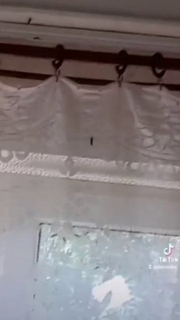 Улей в квартире