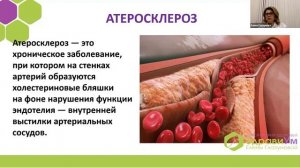 Холестерин: скрытая угроза или жизненная необходимость?