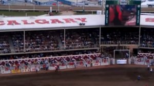 родео с бычками Calgary stampede 08/07/2012