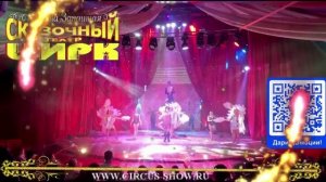 цирк -театр Владимира Филатенко и Полины Запашной (отзывы)