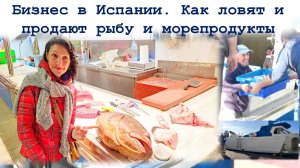 Частный бизнес в Испании на примере рыбы и морепродуктов. Налоги и бизнес от А до Я