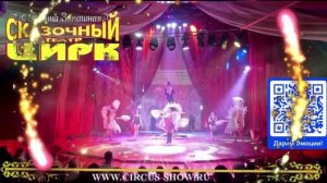 цирк -театр Владимира Филатенко и Полины Запашной (отзывы)