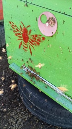 Пыльцу понесли.Ляпота🐝🪻🐝🪻🐝