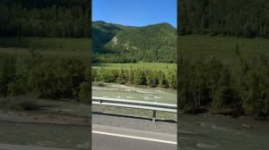 Довольные туристы подпевают Бременским музыкантам! 🎶🌄