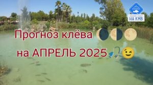 Календарь Рыбака🎣 Лунный прогноз клёва на апрель 2025🌘🌗🌕