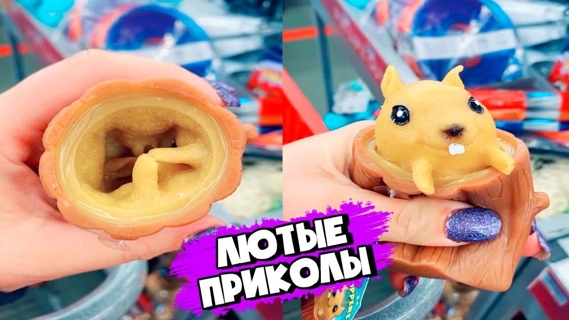 ЛЮТЫЕ ПРИКОЛЫ ЛУЧШИЕ СМЕШНЫЕ ПОДБОРКИ ВИДЕО TIK TOK
