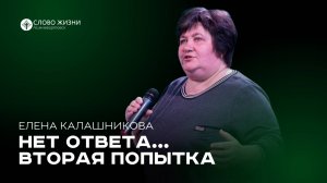 Нет ответа...вторая попытка / Елена Калашникова  / 30.03.25