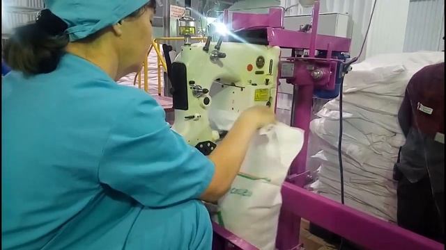 Automatic bag closer sewing machine