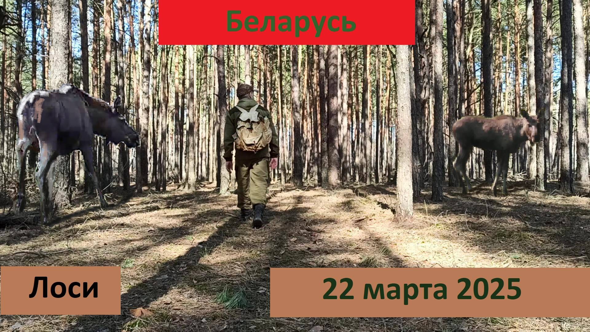 СТАДО ЛОСЕЙ ! 22 марта в лесу \пришла весна?? костер у озера \ КУДА ДЕЛАСЬ ВОДА?