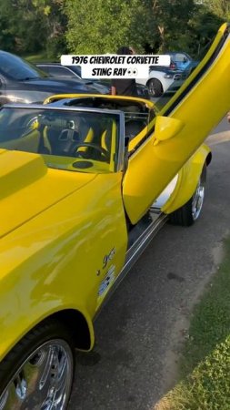 1976 Chevrolet Corvette Sting Ray With Butterfly Doors at Rmc Mike Car meet. #shorts