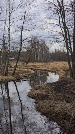 Всего в 200 м от гаража такая красота. #местадетства
