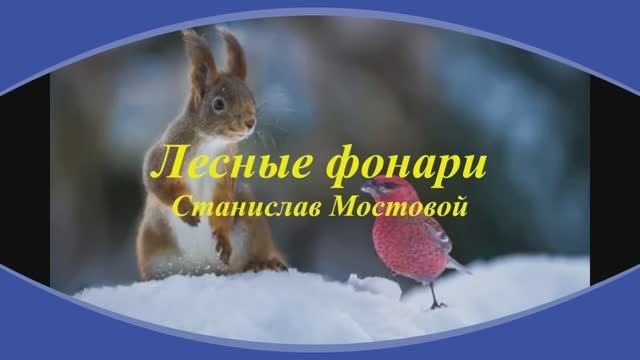 Лесные фонари