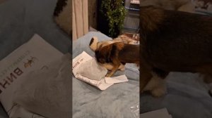 Вьюга. Когда ты Звезда и весь мир принадлежит тебе.)