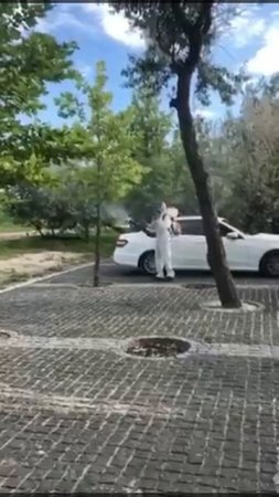 Уничтожение комаров