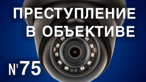 Вызов 02  Преступление в объективе №75