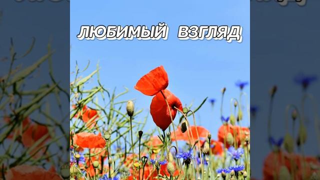 ЛЮБИМЫЙ ВЗГЛЯД
