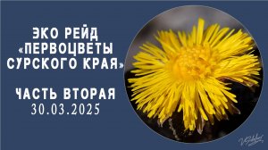 Эко-рейд "Первоцветы Сурского края" Часть II