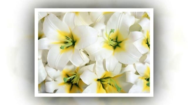 ДЛЯ Т.МАРИНОЧКИ