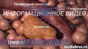 Печеночная Недостаточность