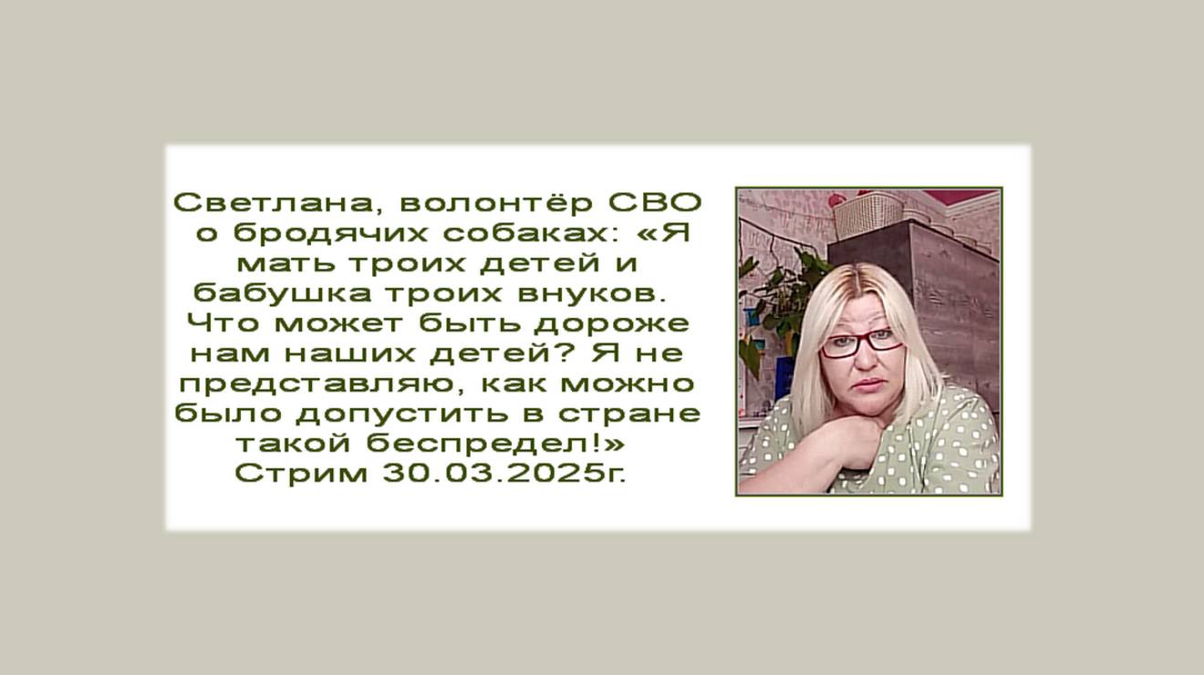 Волонтёр СВО об ОСВВ