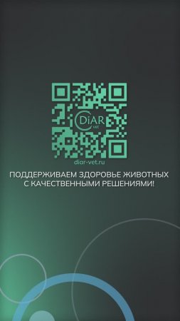Отзыв основателя ветеринарной клиники ЧЕКЛАП Марии Свиридовой о сотрудничестве с DiAR-vet