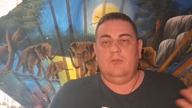 Обзор. АКВАРИУМ ПАУКОВ❓️ИЛИ ПИРАТКИНЫ УГРОЗЫ❓️♀️❗️