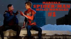 Marvels Spider-Man Miles Morales #1 - Новогодние паучки