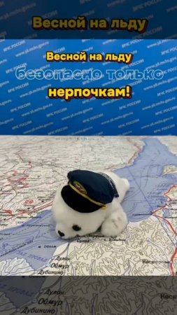 Весной на льду безопасно только нерпочкам!