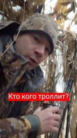 Пить или не пить на охоте. Кто кого затроллил?