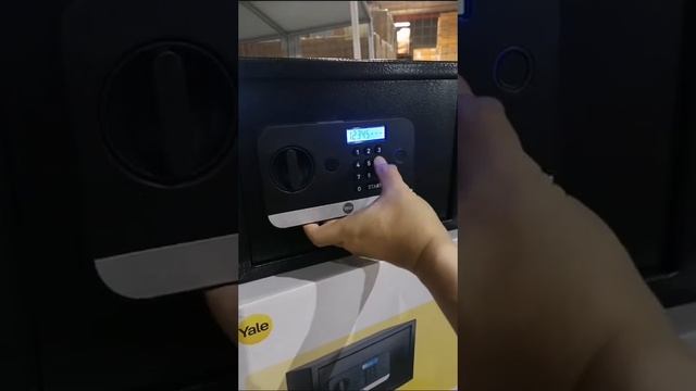 Yale Stellar 250/DB2 Medium Fingerprint Safe ( Unlock Safe with Pin ...