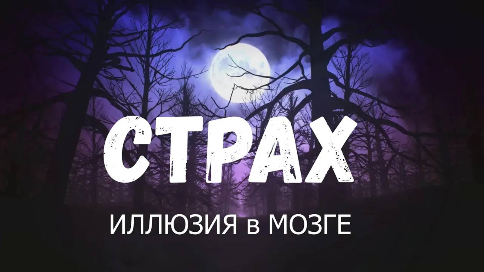 Страх. Иллюзия в нашем мозге @fakeer.ru #мозг_инструкция