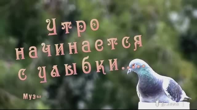Утро начинается с улыбки*