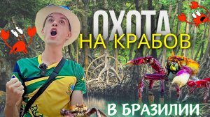 Сбор крабов в Бразилии: заработок или приключение?