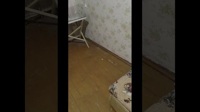 влог 13.02.25