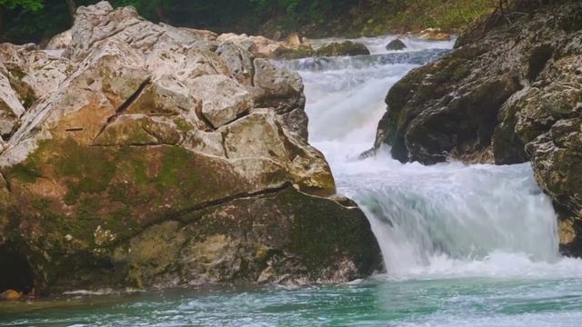 Frdrique Zoltane Titre A - Wonderful Life