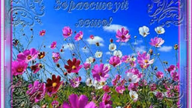 лето