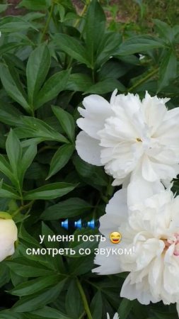 божественная тусовочка у нас