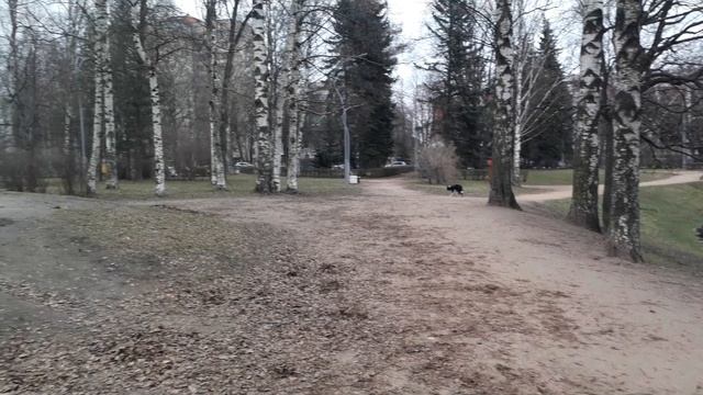 Санкт-Петербург. Институтский проспект, прекрасный местный парк. Серебристый пруд.